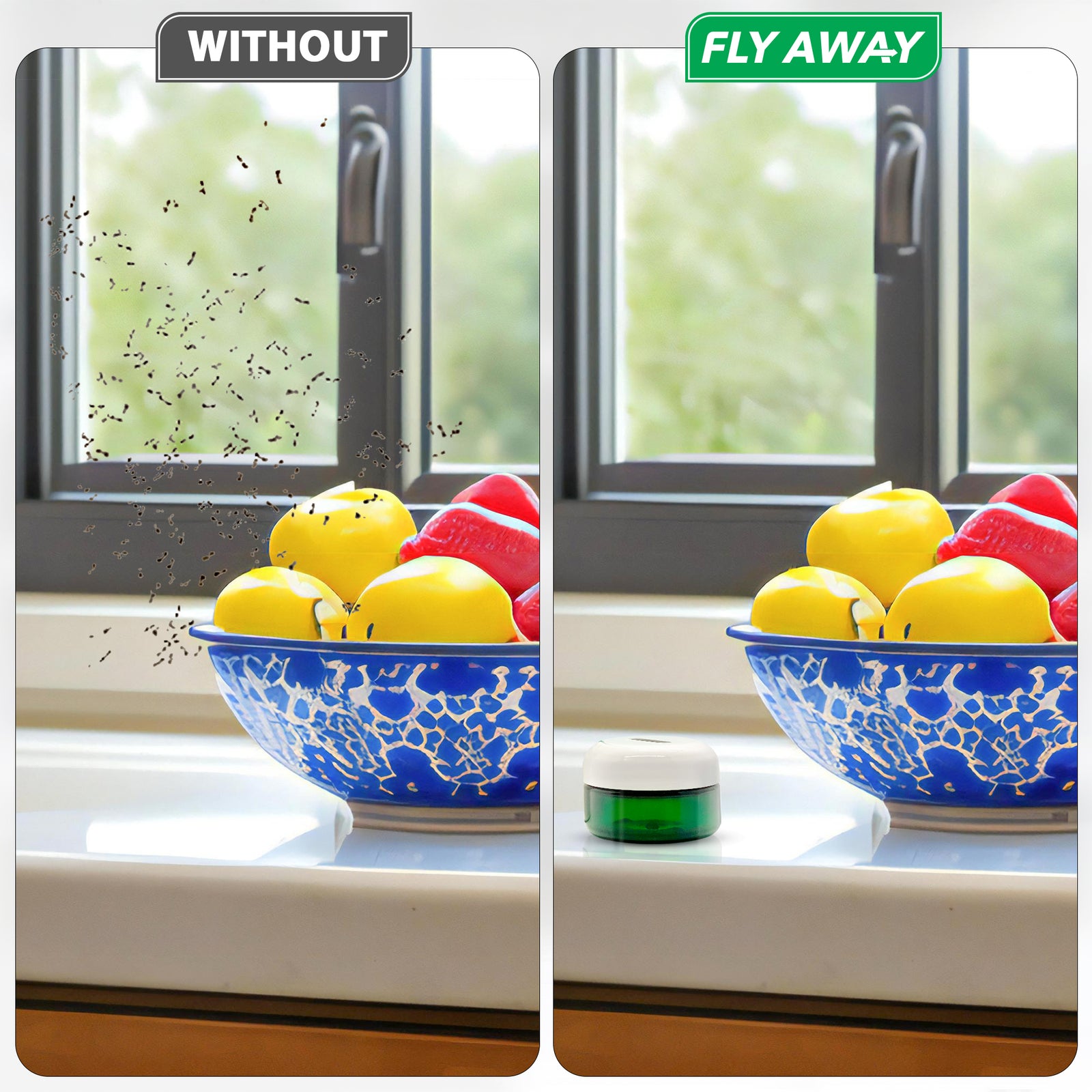 Fly Away Fruit Fly Trap Products - Made in the USA | Fly Away Products
